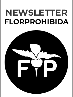 Qué es turba y por qué es básica en tu jardín | Aprende fácil